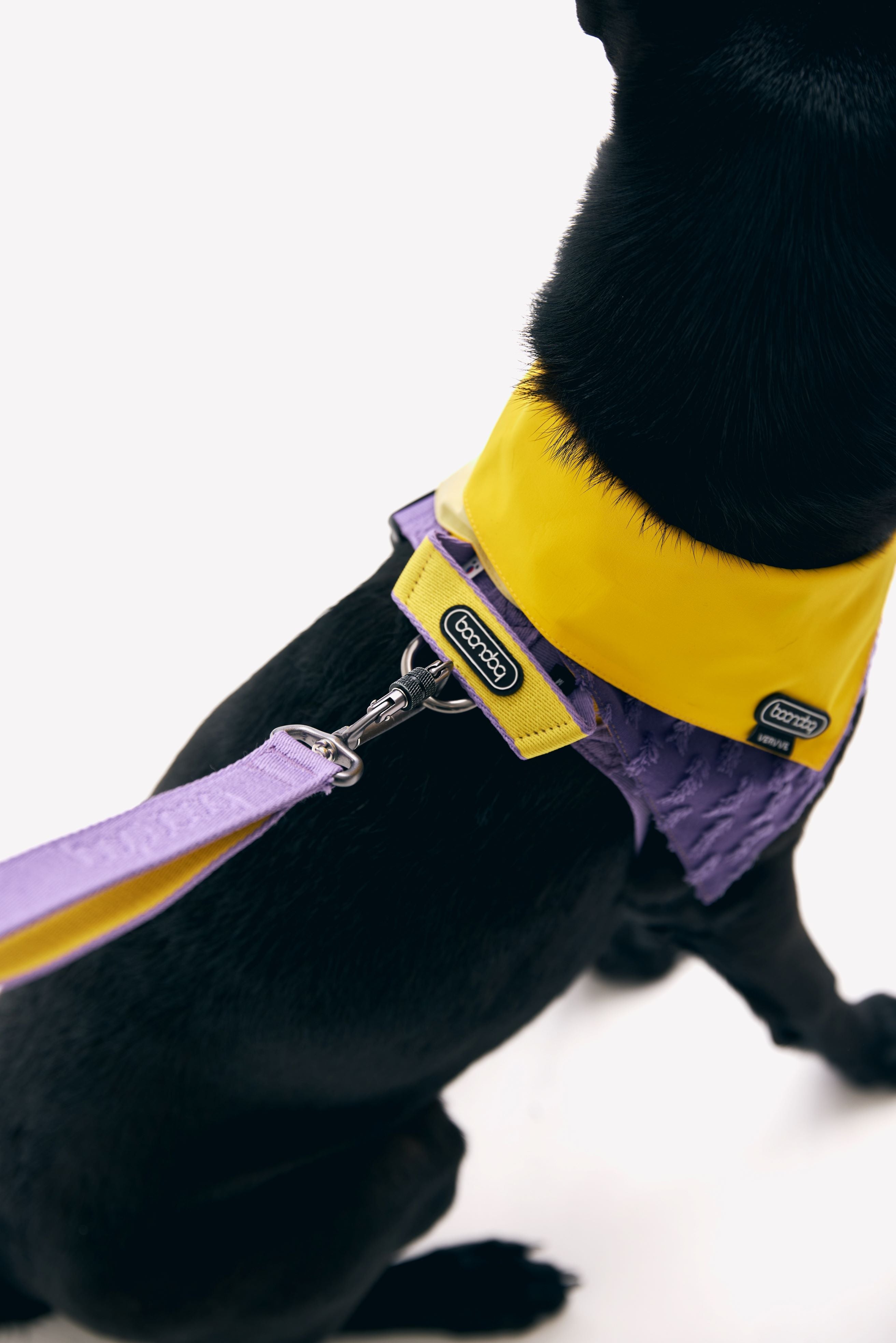 胸背帶 – Boondog Taiwan