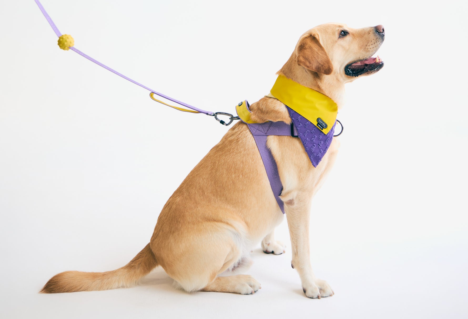 Boondog Taiwan Official Store
