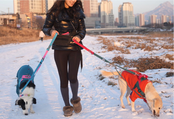 Dual Leash - Black Pink – Boondog Taiwan